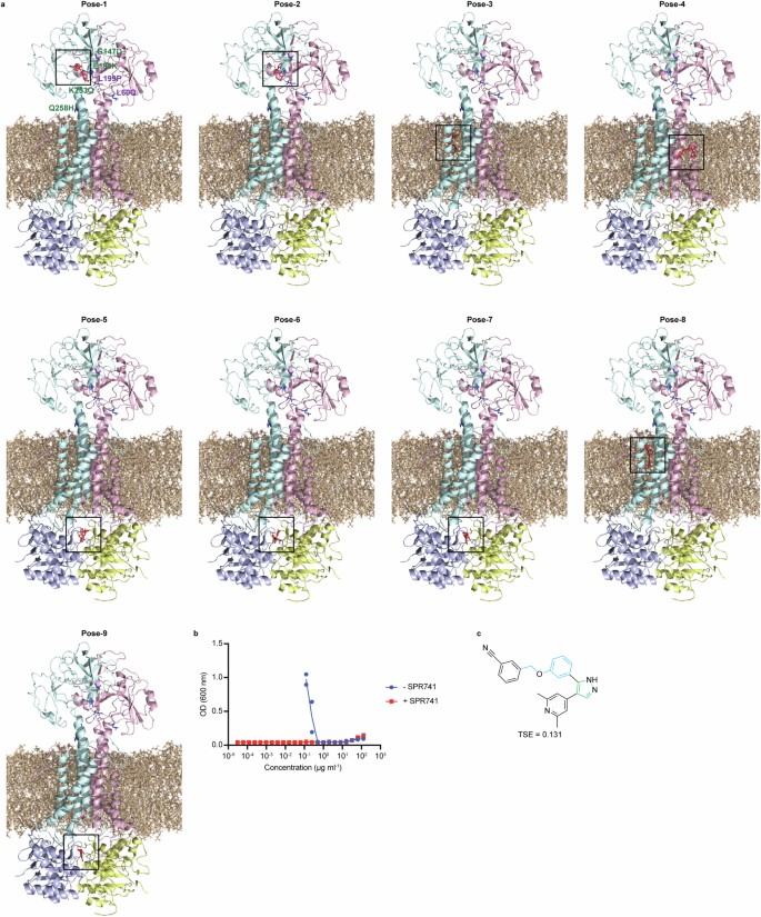 Discovery and artificial intelligence-guided mechanistic elucidation of ...