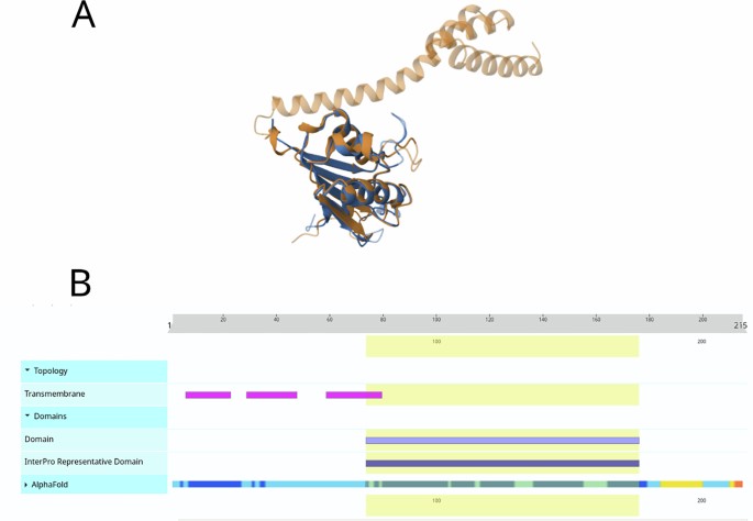 Genetic population structure of Haemophilus influenzae at local and ...