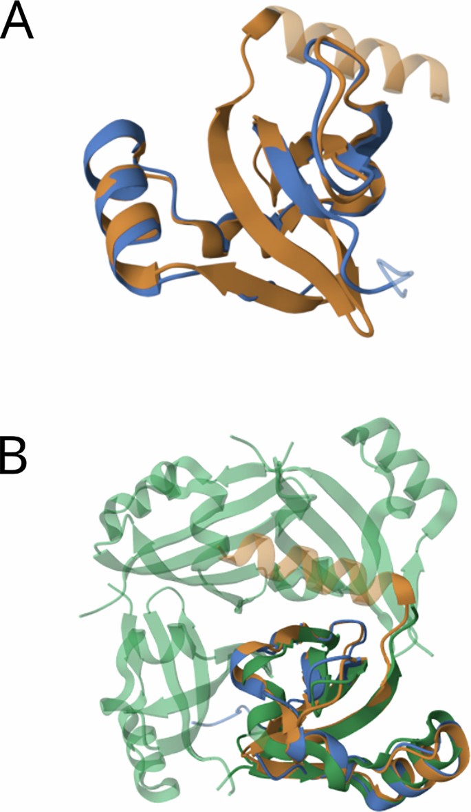 Genetic population structure of Haemophilus influenzae at local and ...