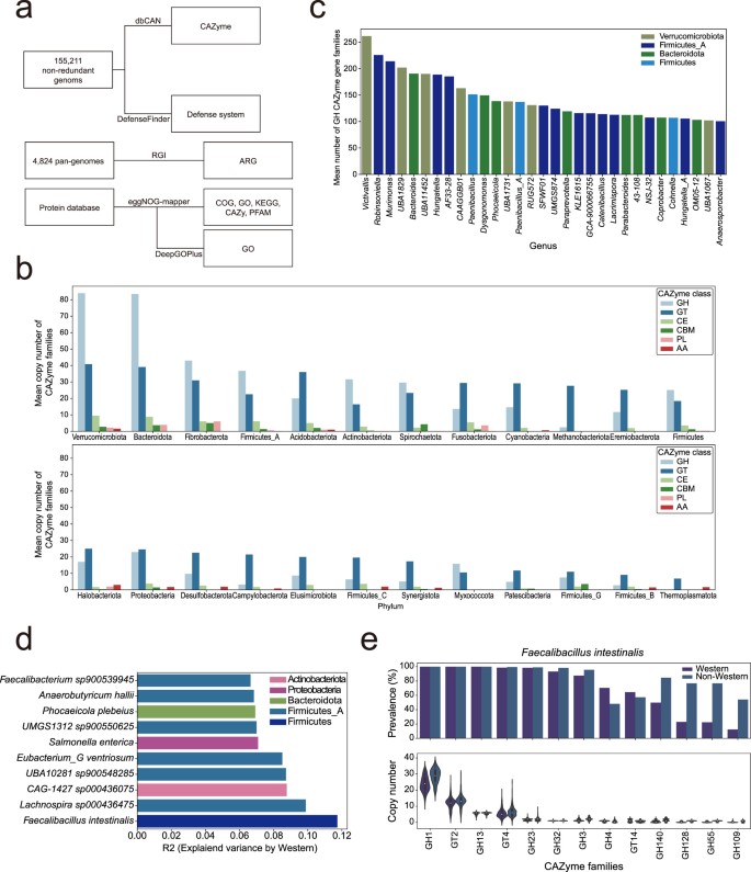 A human gut metagenome-assembled genome catalogue spanning 41 countries ...