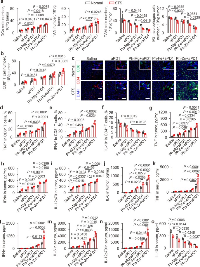 Metal-ion-chelating phenylalanine nanostructures reverse immune ...