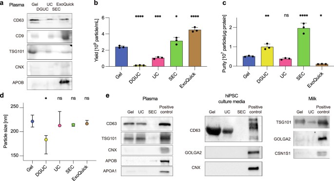 Meso–macroporous hydrogel for direct litre-scale isolation of ...