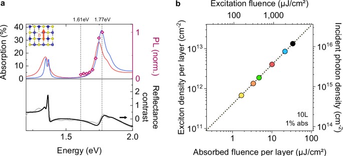 Exciton transport driven by spin excitations in an antiferromagnet ...