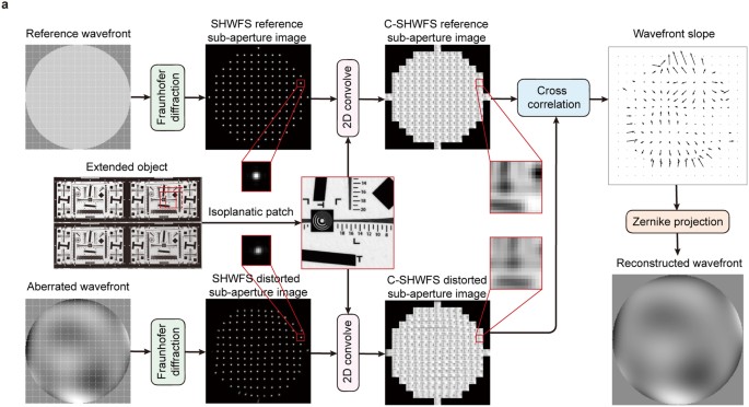 Direct observation of atmospheric turbulence with a video-rate wide ...
