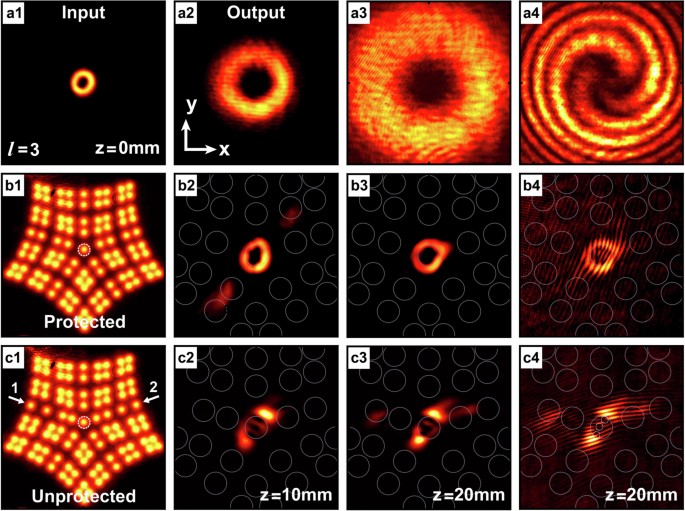 Topological orbital angular momentum extraction and twofold protection ...