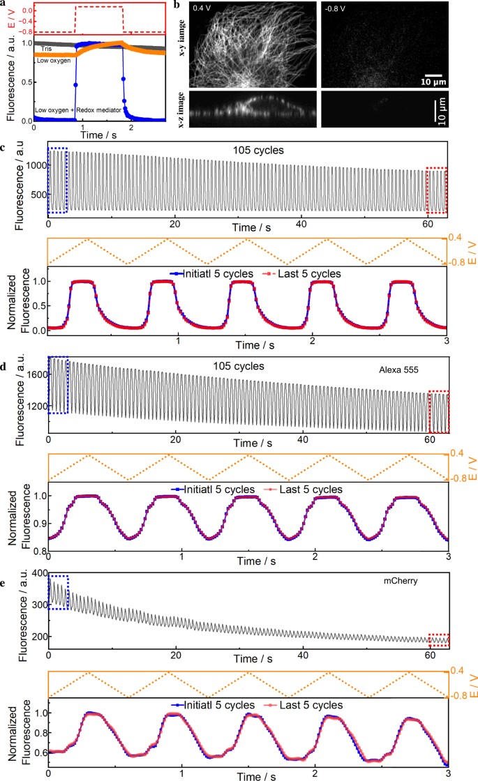 Electrochemical fluorescence modulation enables simultaneous ...