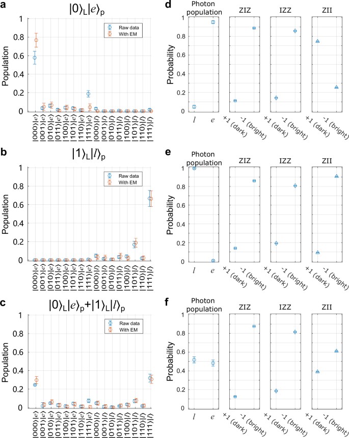 Hybrid entanglement and bit-flip error correction in a scalable quantum ...