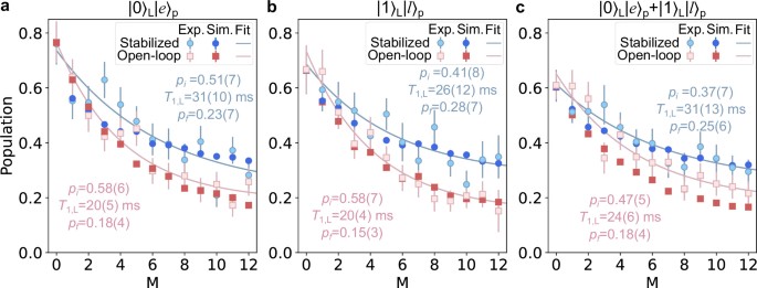 Hybrid entanglement and bit-flip error correction in a scalable quantum ...