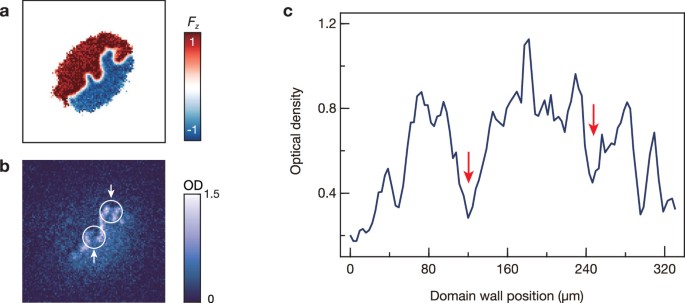 Stable singular fractional skyrmion spin texture from the quantum ...