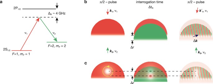 Stable singular fractional skyrmion spin texture from the quantum ...