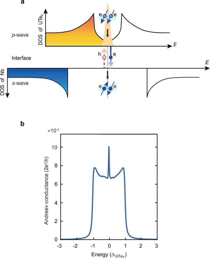 Odd-parity quasiparticle interference in the superconductive surface ...