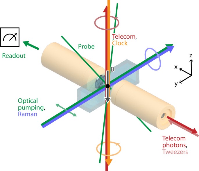 Parallelized telecom quantum networking with an ytterbium-171 atom array | Nature Physics