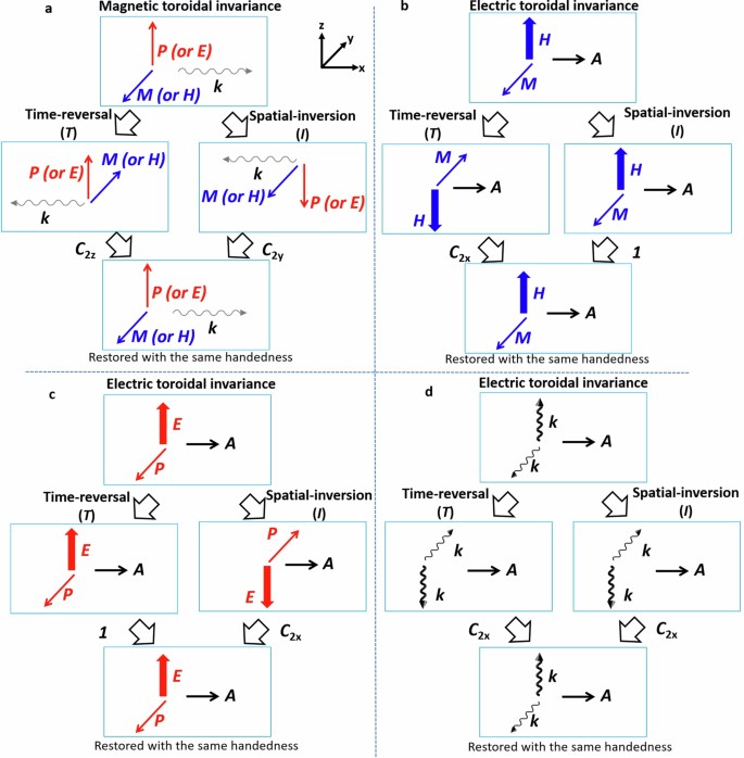 Electric toroidal invariance generates distinct transverse ...