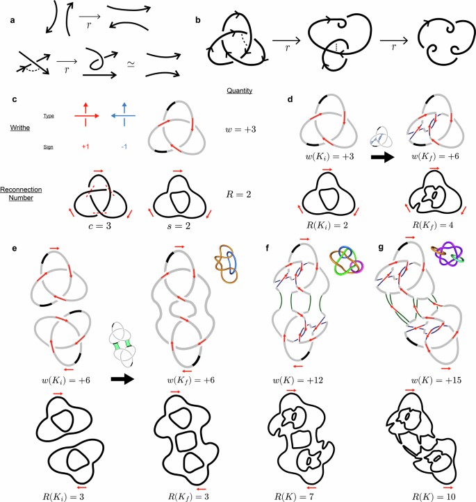 Fusion and fission of particle-like chiral nematic vortex knots | Nature Physics