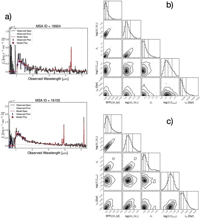 Most of the photons that reionized the Universe came from dwarf ...