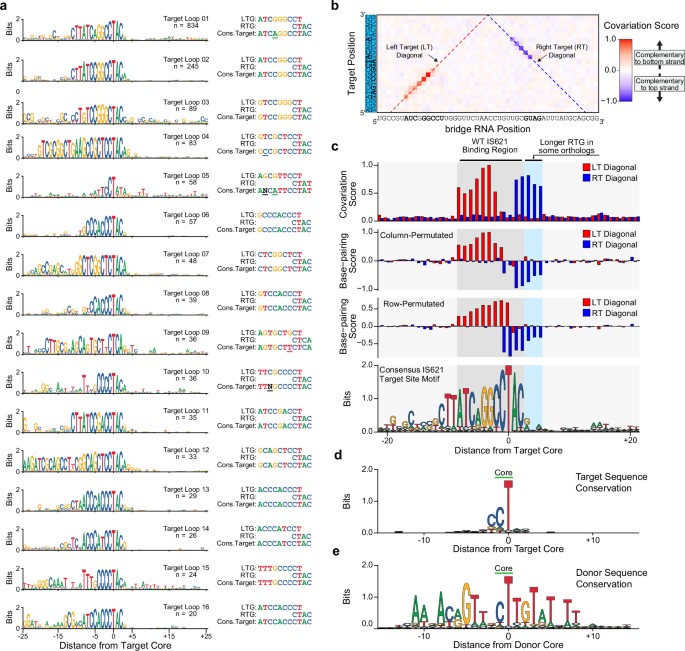 Bridge RNAs direct programmable recombination of target and donor DNA ...