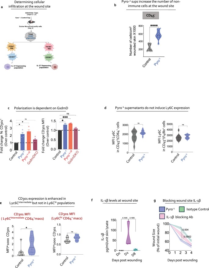 Oxylipins and metabolites from pyroptotic cells act as promoters of ...