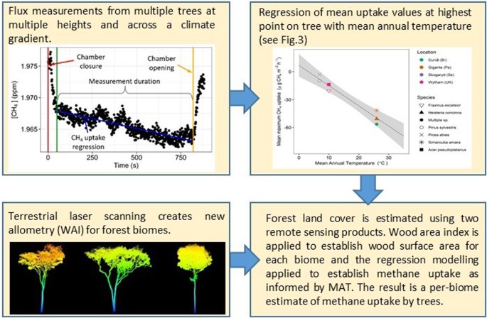 Global atmospheric methane uptake by upland tree woody surfaces | Nature