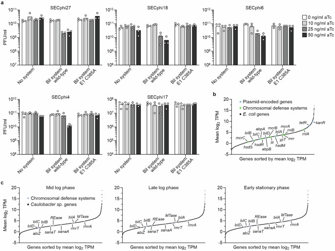 Bacteria conjugate ubiquitin-like proteins to interfere with phage ...