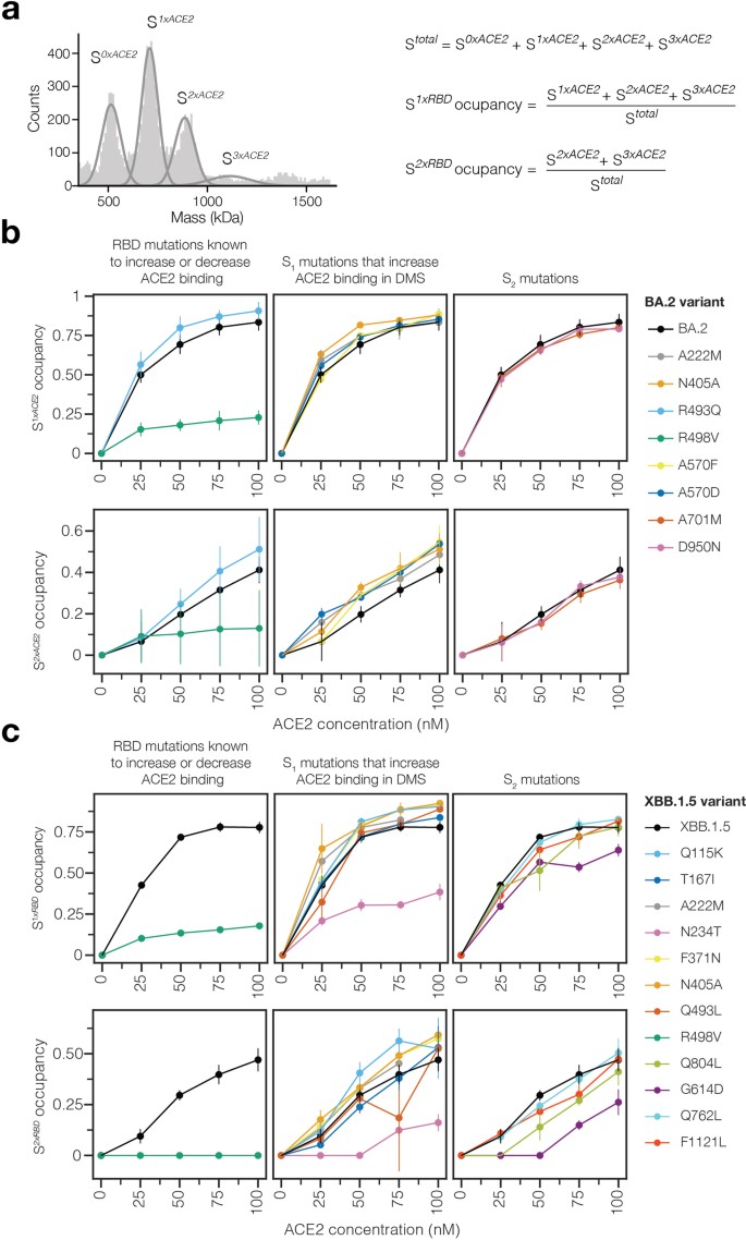 Spike deep mutational scanning helps predict success of SARS-CoV-2 clades | Nature