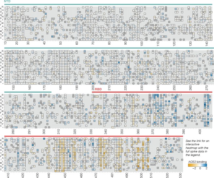 Spike deep mutational scanning helps predict success of SARS-CoV-2 clades | Nature