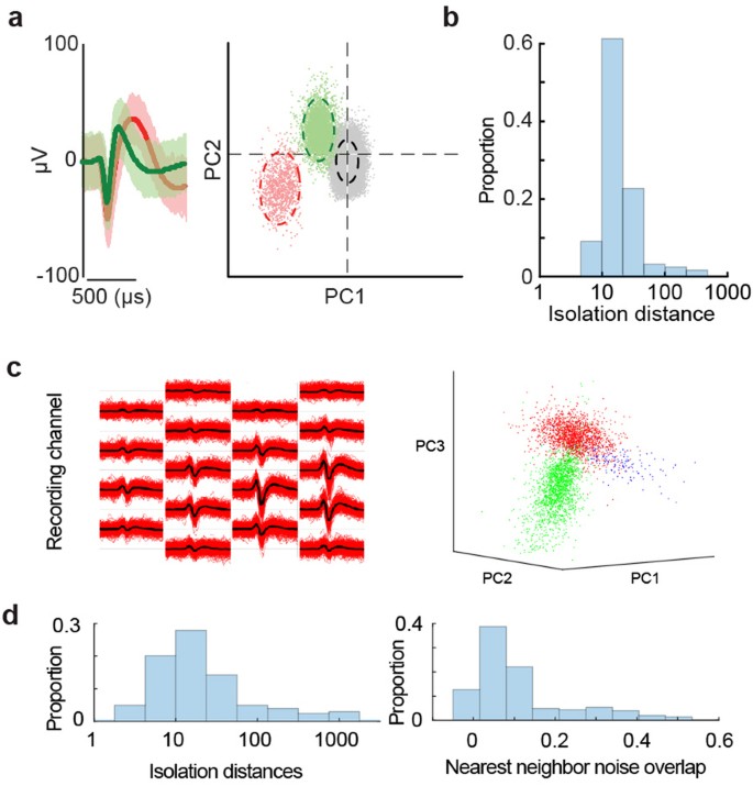 Semantic encoding during language comprehension at single-cell resolution | Nature