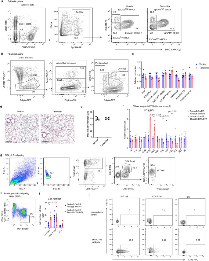Alveolar fibroblast lineage orchestrates lung inflammation and fibrosis ...