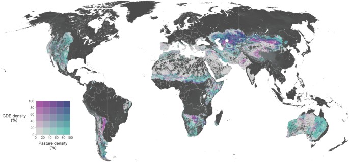 Groundwater-dependent ecosystem map exposes global dryland protection ...