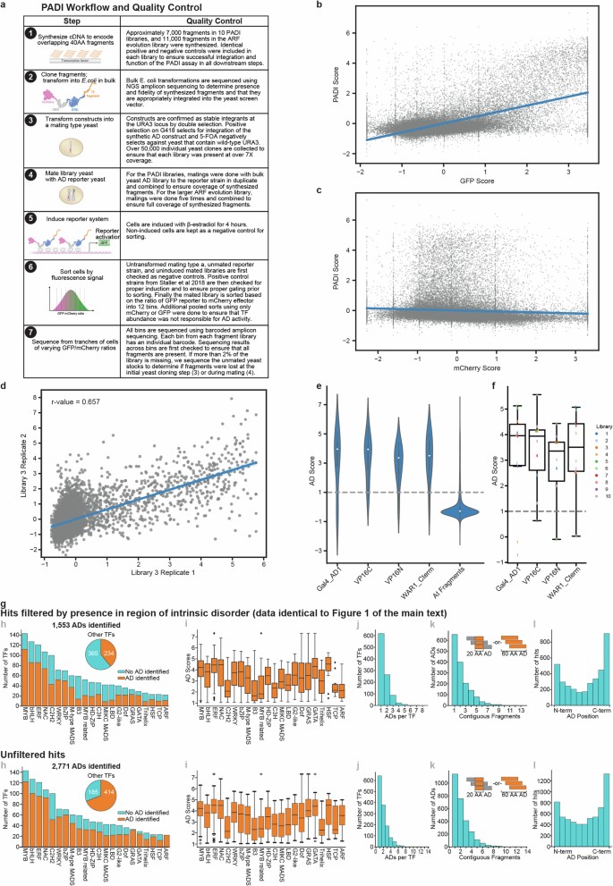 Identification of plant transcriptional activation domains | Nature