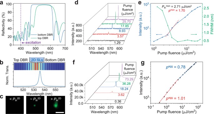 Two-dimensional-lattice-confined single-molecule-like aggregates | Nature