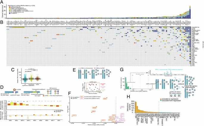 Origins and impact of extrachromosomal DNA | Nature