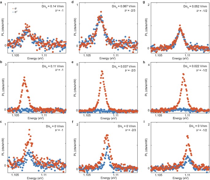 Trion sensing of a zero-field composite Fermi liquid | Nature