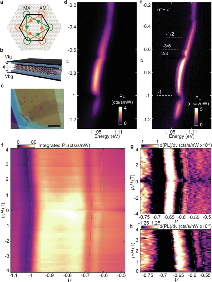 Trion sensing of a zero-field composite Fermi liquid | Nature