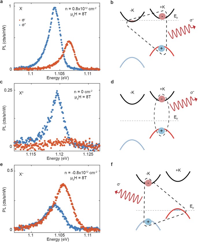 Trion sensing of a zero-field composite Fermi liquid | Nature