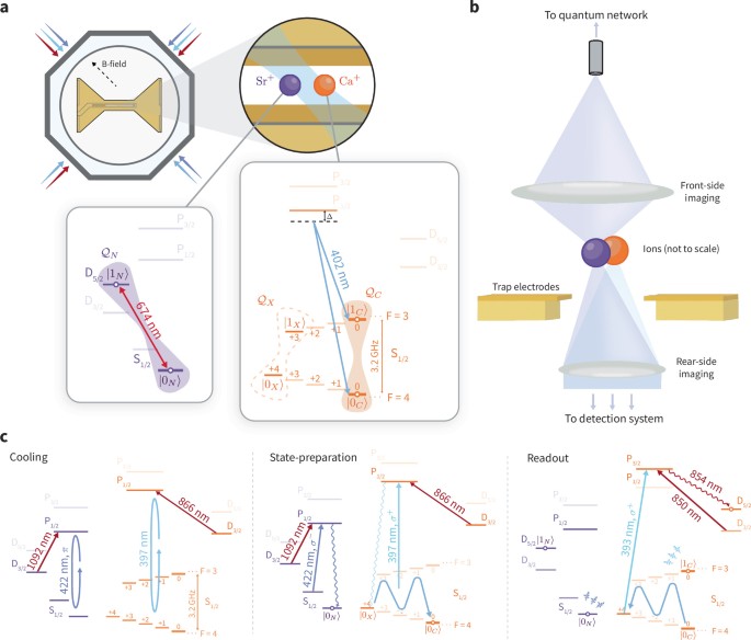 Distributed quantum computing across an optical network link | Nature