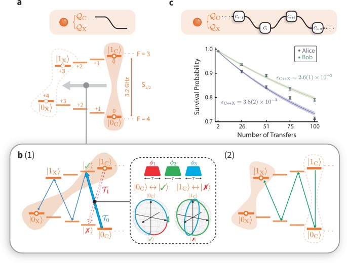 Distributed quantum computing across an optical network link | Nature