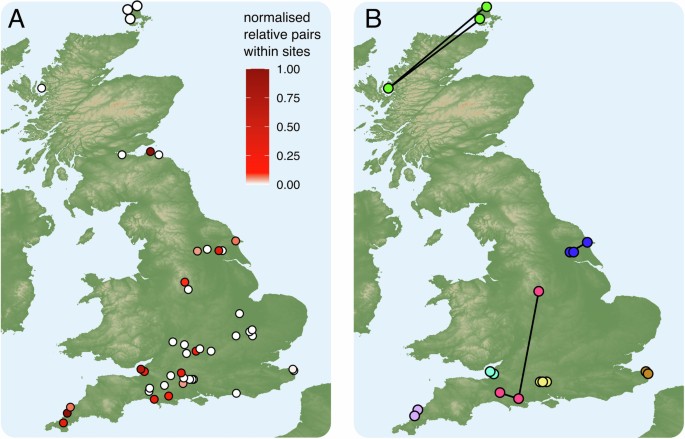 Continental influx and pervasive matrilocality in Iron Age Britain | Nature