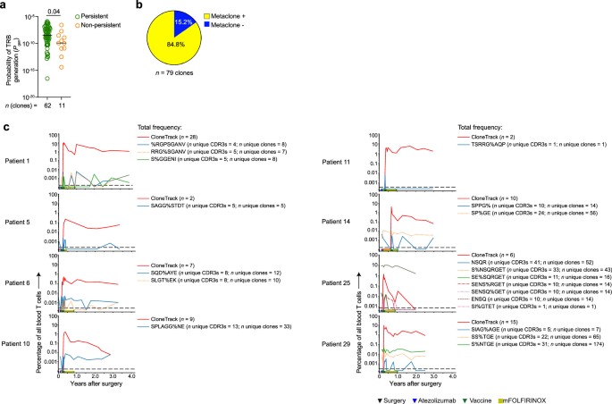 RNA neoantigen vaccines prime long-lived CD8+ T cells in pancreatic ...