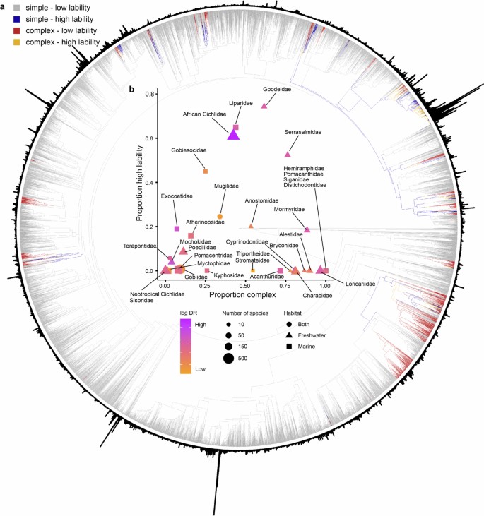 Evolutionary lability of a key innovation spurs rapid diversification ...