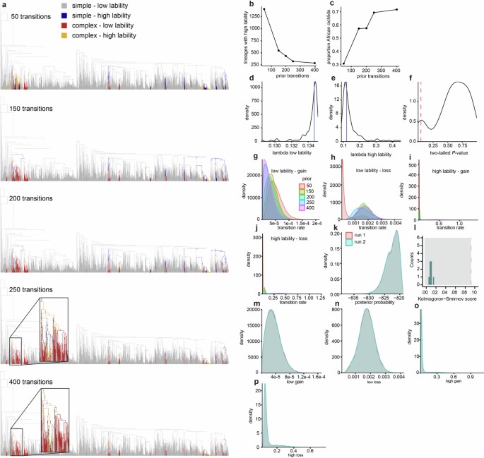 Evolutionary lability of a key innovation spurs rapid diversification ...