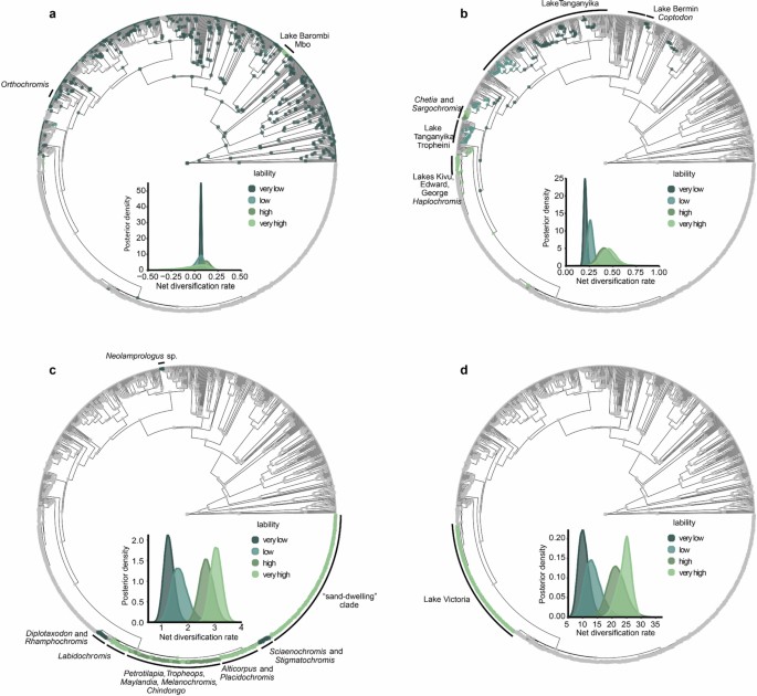Evolutionary lability of a key innovation spurs rapid diversification ...