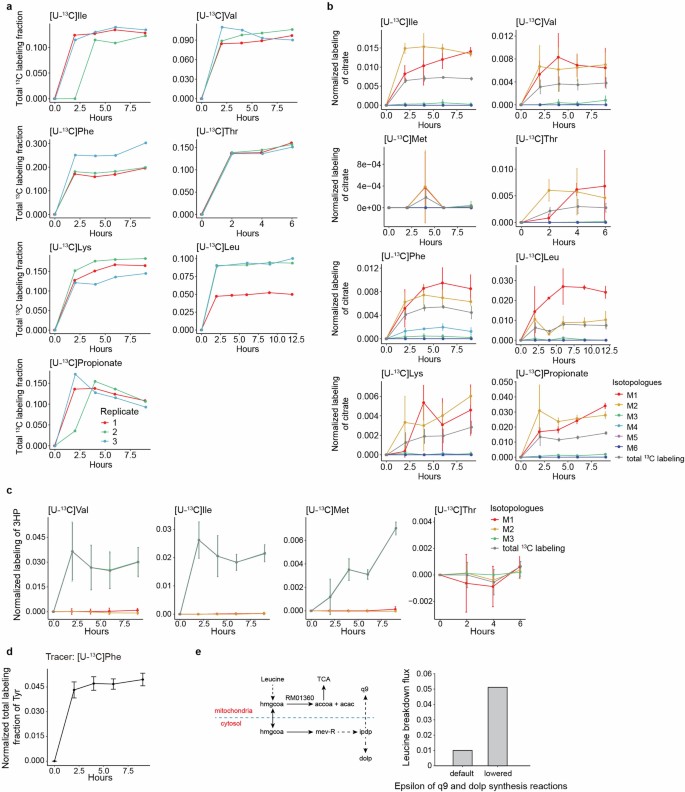 A systems-level, semi-quantitative landscape of metabolic flux in C. elegans | Nature