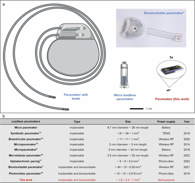 Millimetre-scale bioresorbable optoelectronic systems for ...