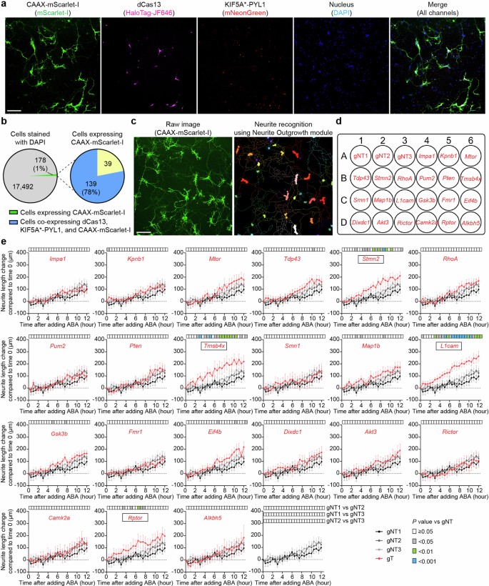 Programmable control of spatial transcriptome in live cells and neurons ...