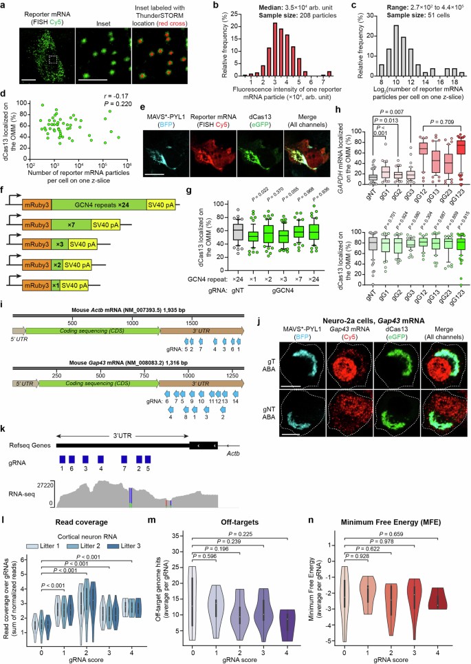 Programmable control of spatial transcriptome in live cells and neurons ...
