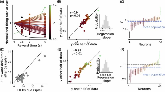 A multidimensional distributional map of future reward in dopamine neurons | Nature