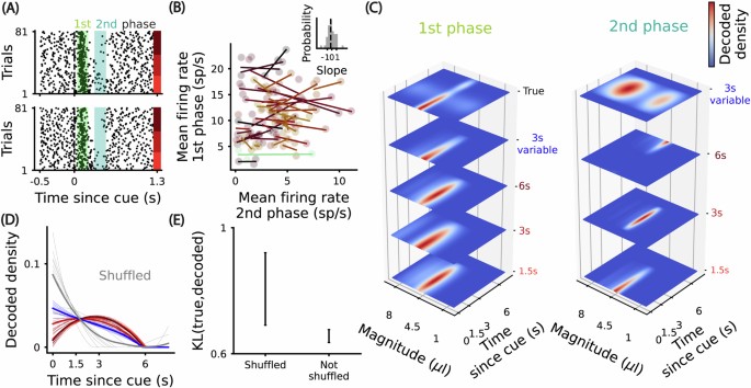A multidimensional distributional map of future reward in dopamine neurons | Nature