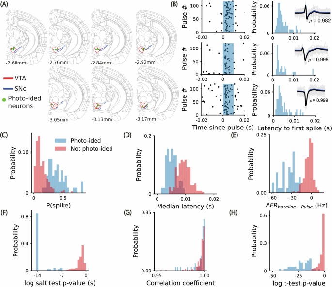 A multidimensional distributional map of future reward in dopamine neurons | Nature