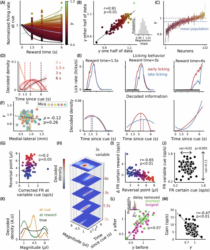 A multidimensional distributional map of future reward in dopamine neurons | Nature