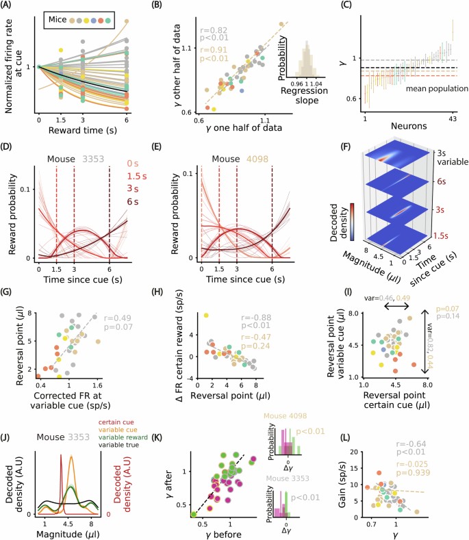 A multidimensional distributional map of future reward in dopamine neurons | Nature